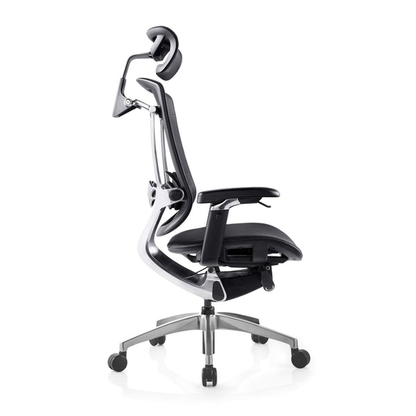 M-Form Ergonomic Task Chair: Premium Comfort and Style – ergometric